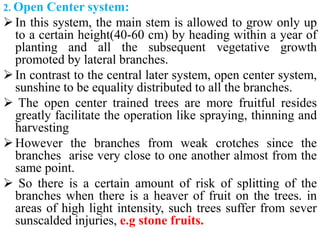 18. Training and prunning of horicultural crops.pptx