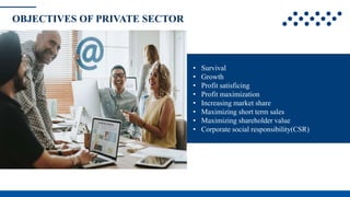 PRIVATE SECTOR growth & development presentation | PPTX