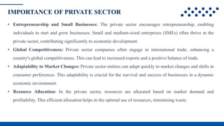 PRIVATE SECTOR growth & development presentation | PPTX