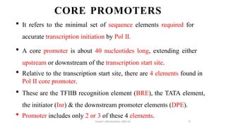 DPT - Biochemistry & Genetics - II (Molecular Biology) Transcription in ...