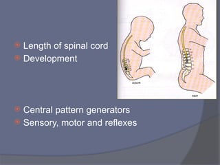 18. Spinal cord management.pptx physiotherapy management | PPTX