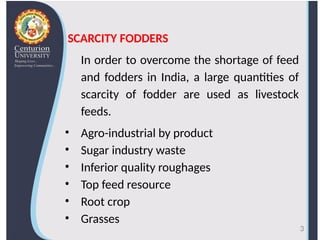 18.19.2223-Scarcity-FodderPreservation-of-Green-fodder.pptx