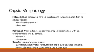 18. Introduction to Viruses and Pathogenesis.pptx