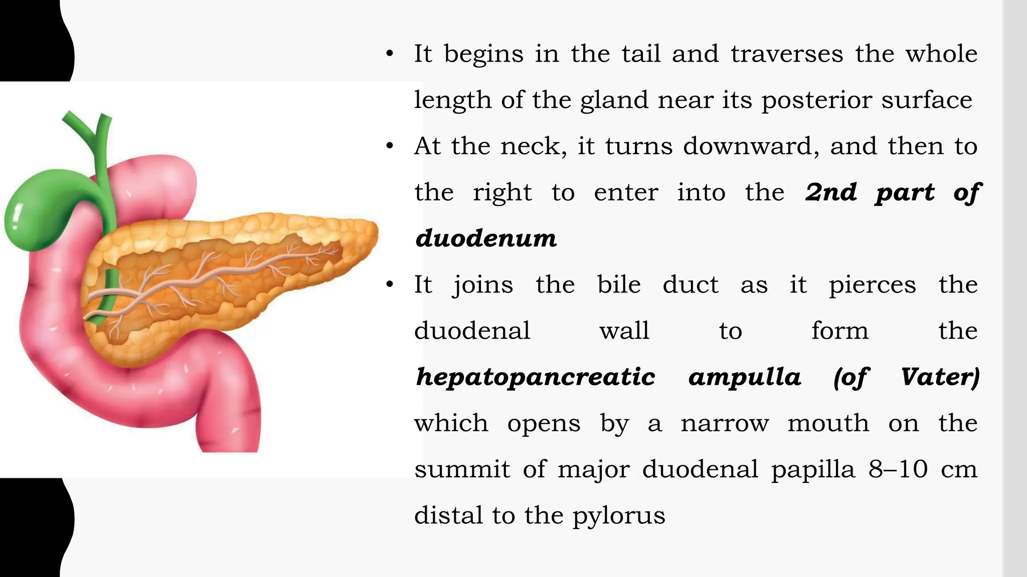 uses and its functions of pancreas bile | PDF