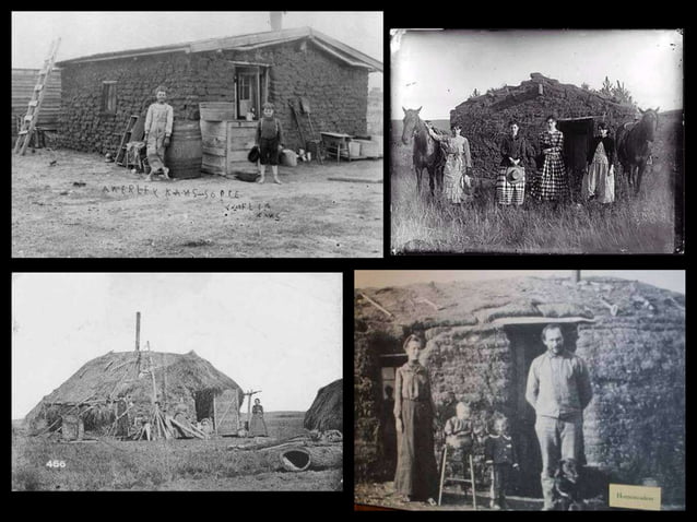 18 3 farming and populism | PPTX