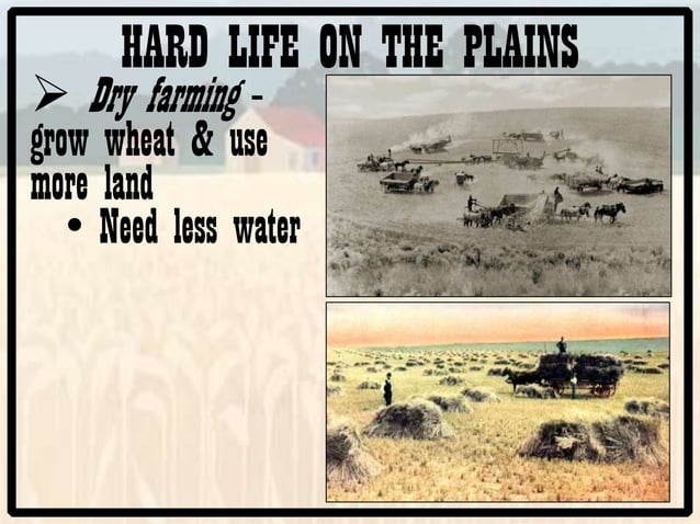 18 3 farming and populism | PPTX