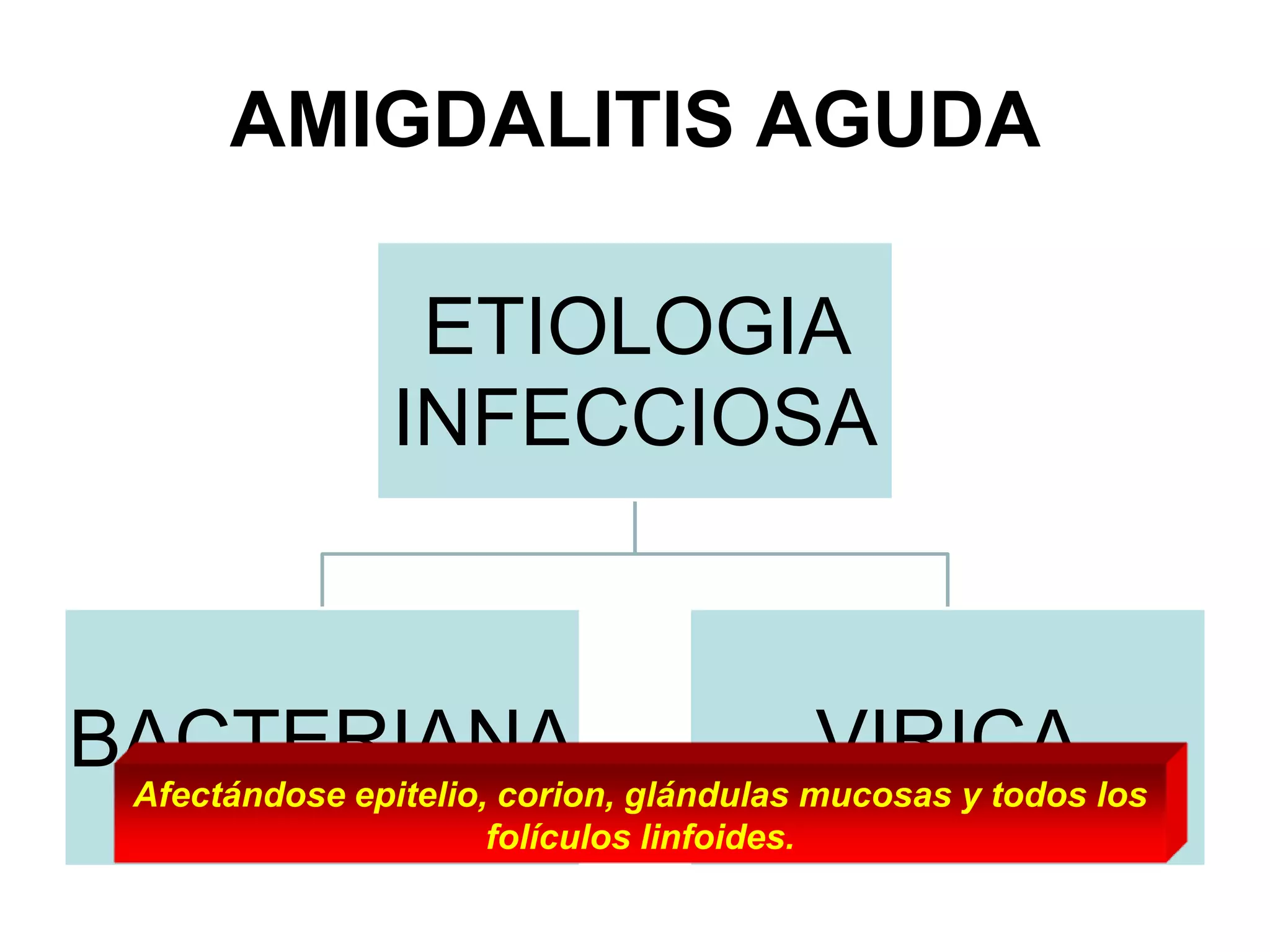 18. amigdalitis aguda | PPTX | Ear, Nose and Throat Conditions ...