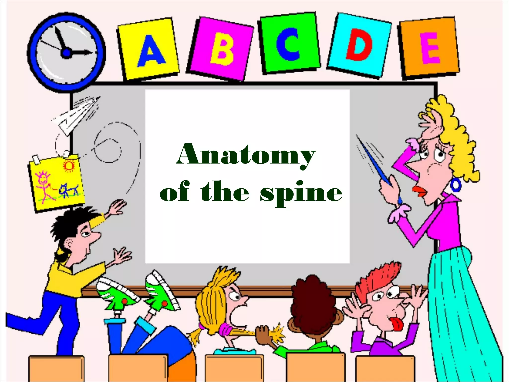 18 anatomy of the spine - d3 | PPT
