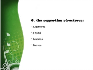 18 anatomy of the spine - d3 | PPT