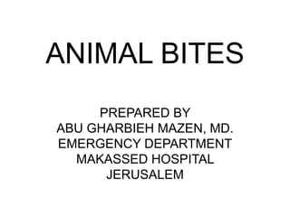 18-ANIMAL-BITE medical guideline pdf.ppt