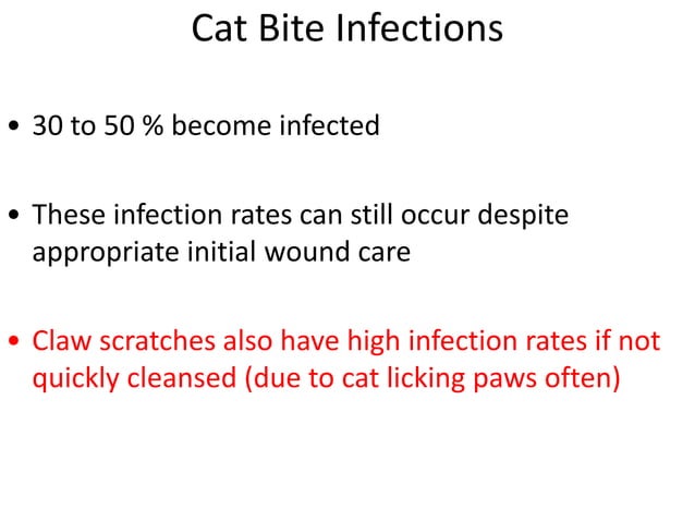 18-ANIMAL-BITE medical guideline pdf.ppt