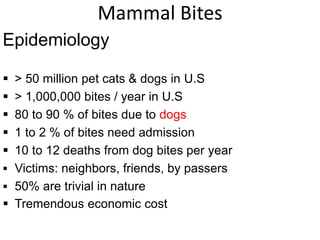 18-ANIMAL-BITE medical guideline pdf.ppt