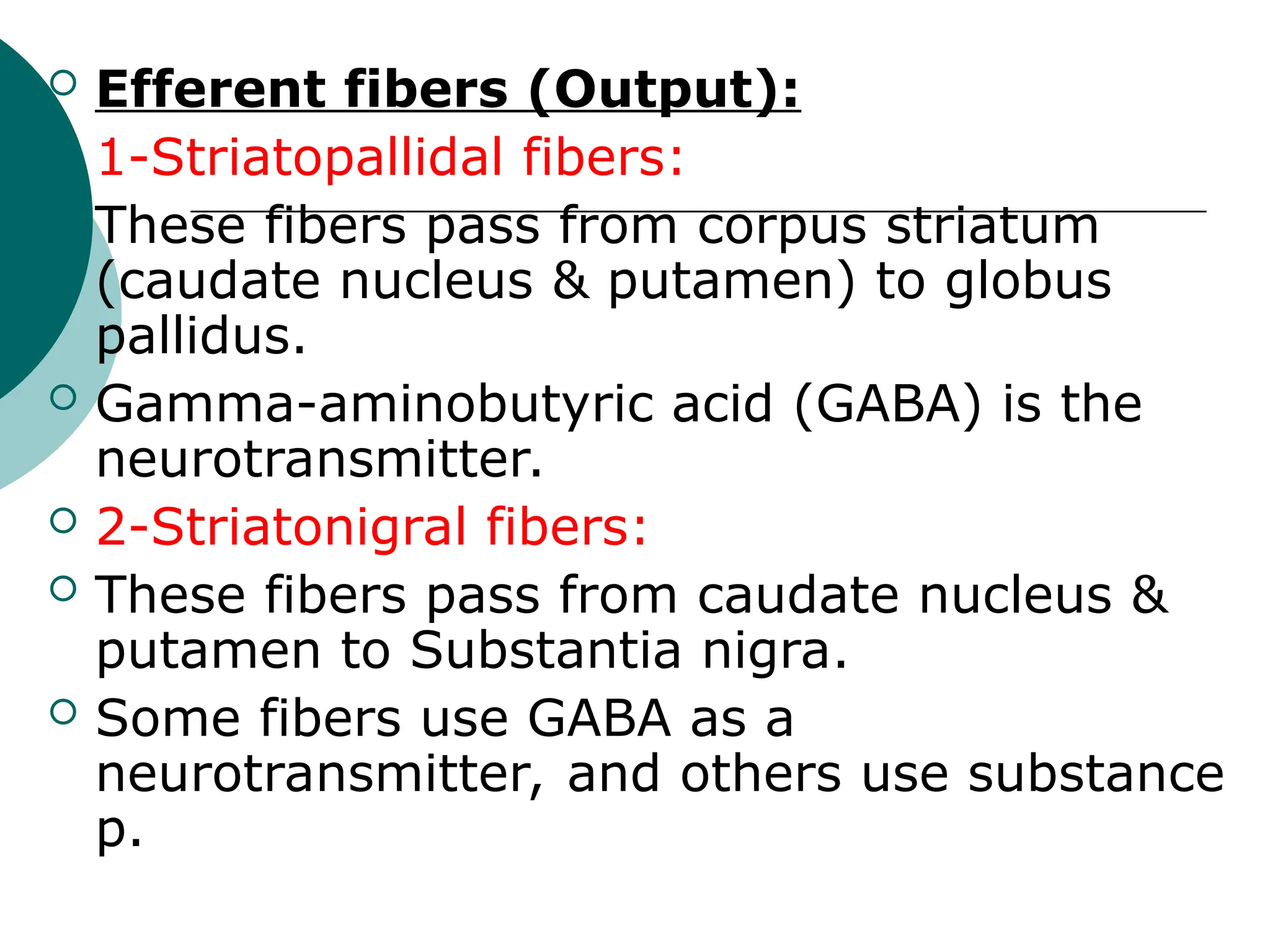 18-Basal Ganglia.ppt including diagram anatomical structures and relations | PPT