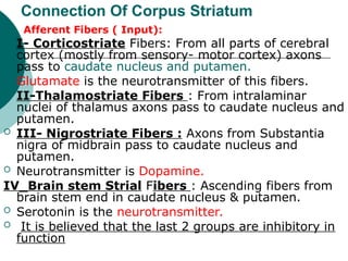 18-Basal Ganglia.ppt including diagram anatomical structures and ...