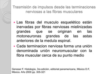 18. celula muscular esqueletica | PPTX