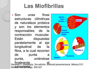 18. celula muscular esqueletica | PPTX