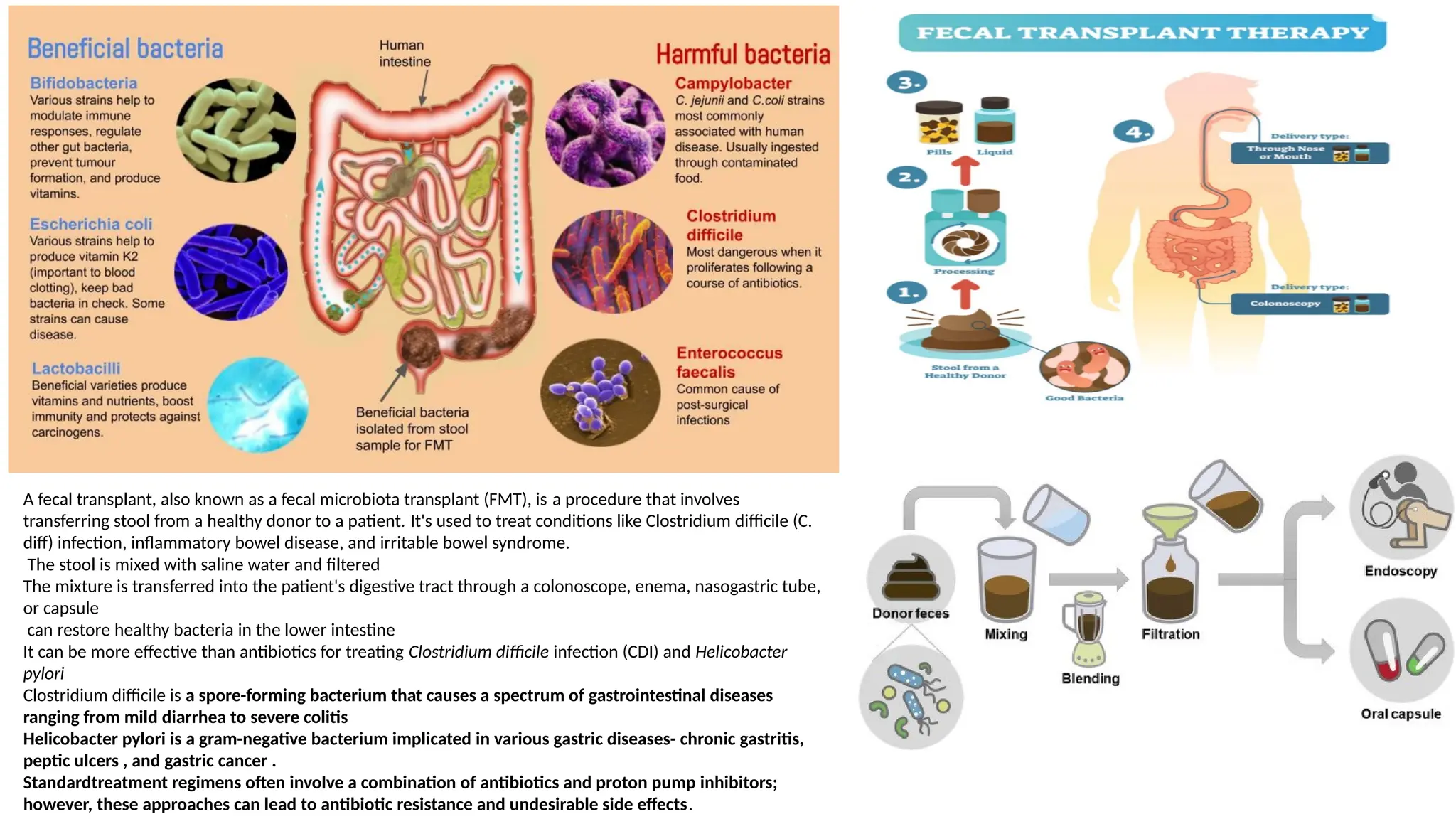 18-Clinical applications- gastrointestinal system, Respiratory system ...