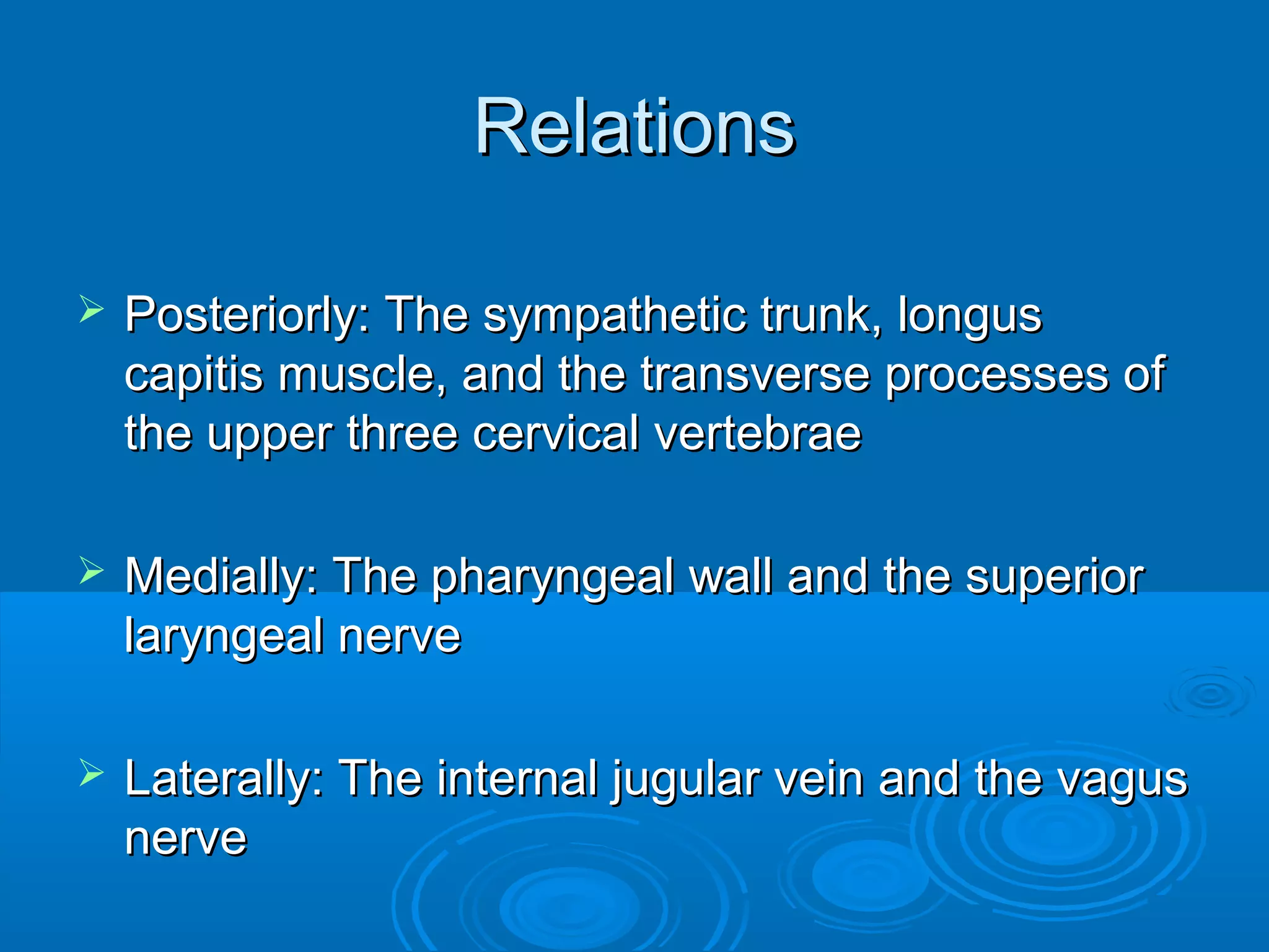 18 main arteries & veins of neck for anaesthesia | PPT