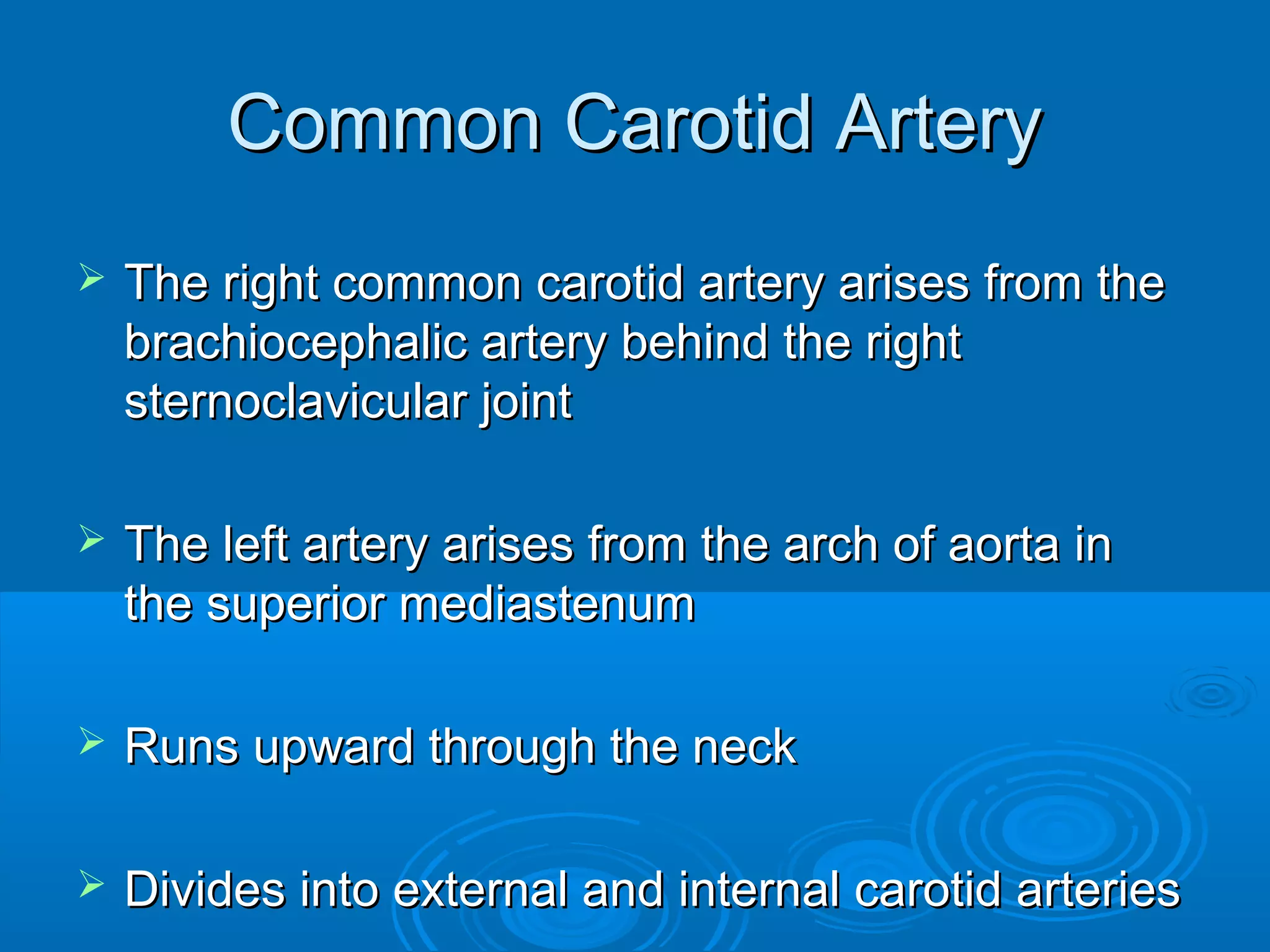 18 main arteries & veins of neck for anaesthesia | PPT
