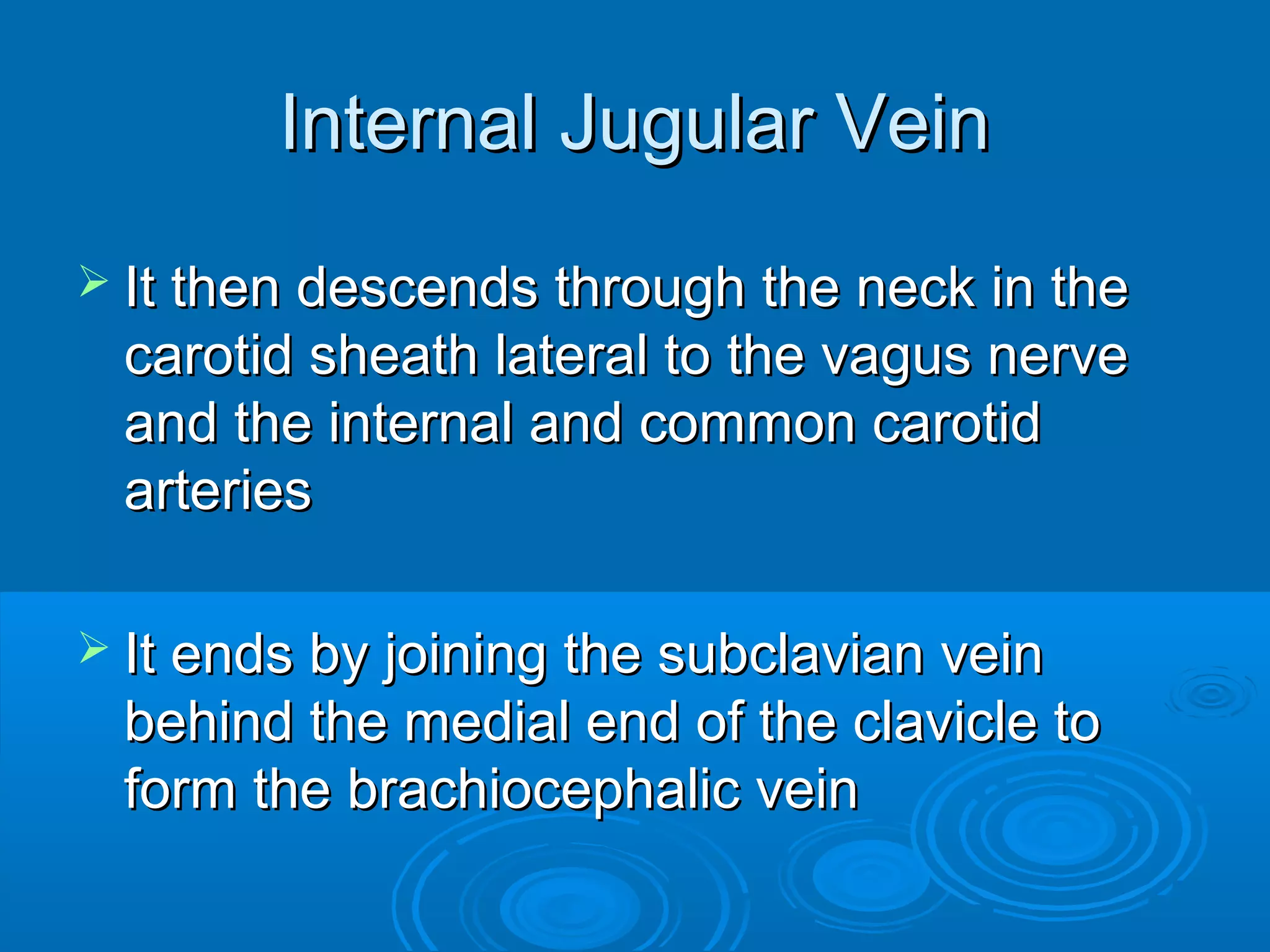 18 main arteries & veins of neck for anaesthesia | PPT