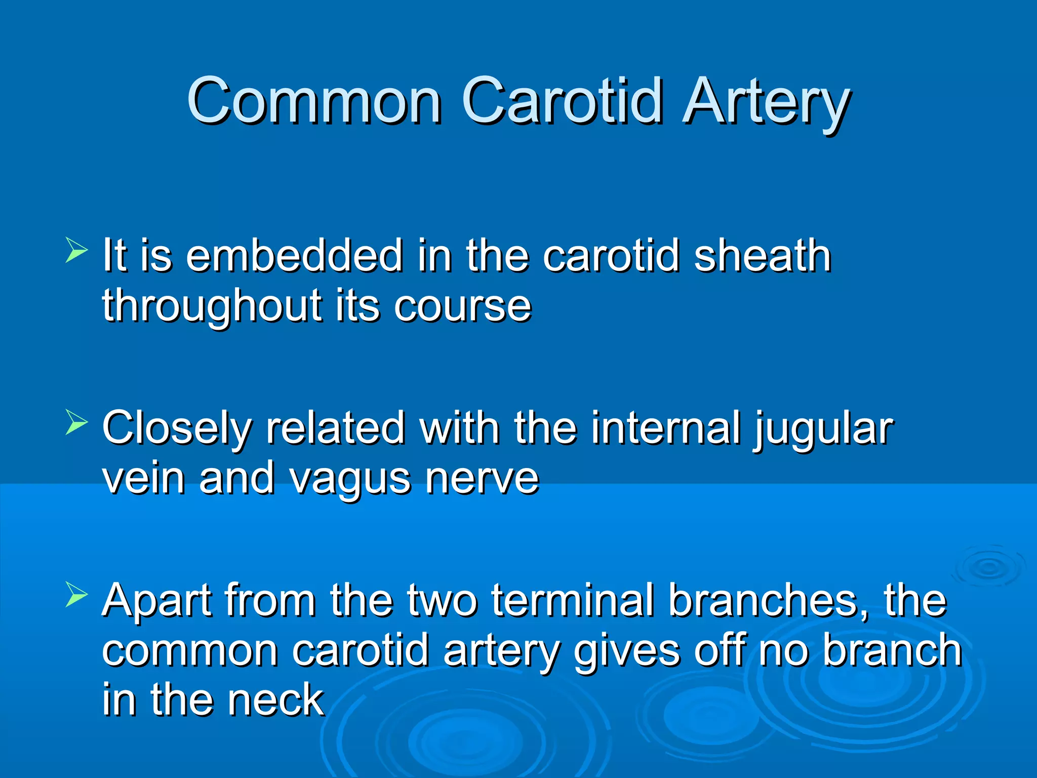 18 main arteries & veins of neck for anaesthesia | PPT