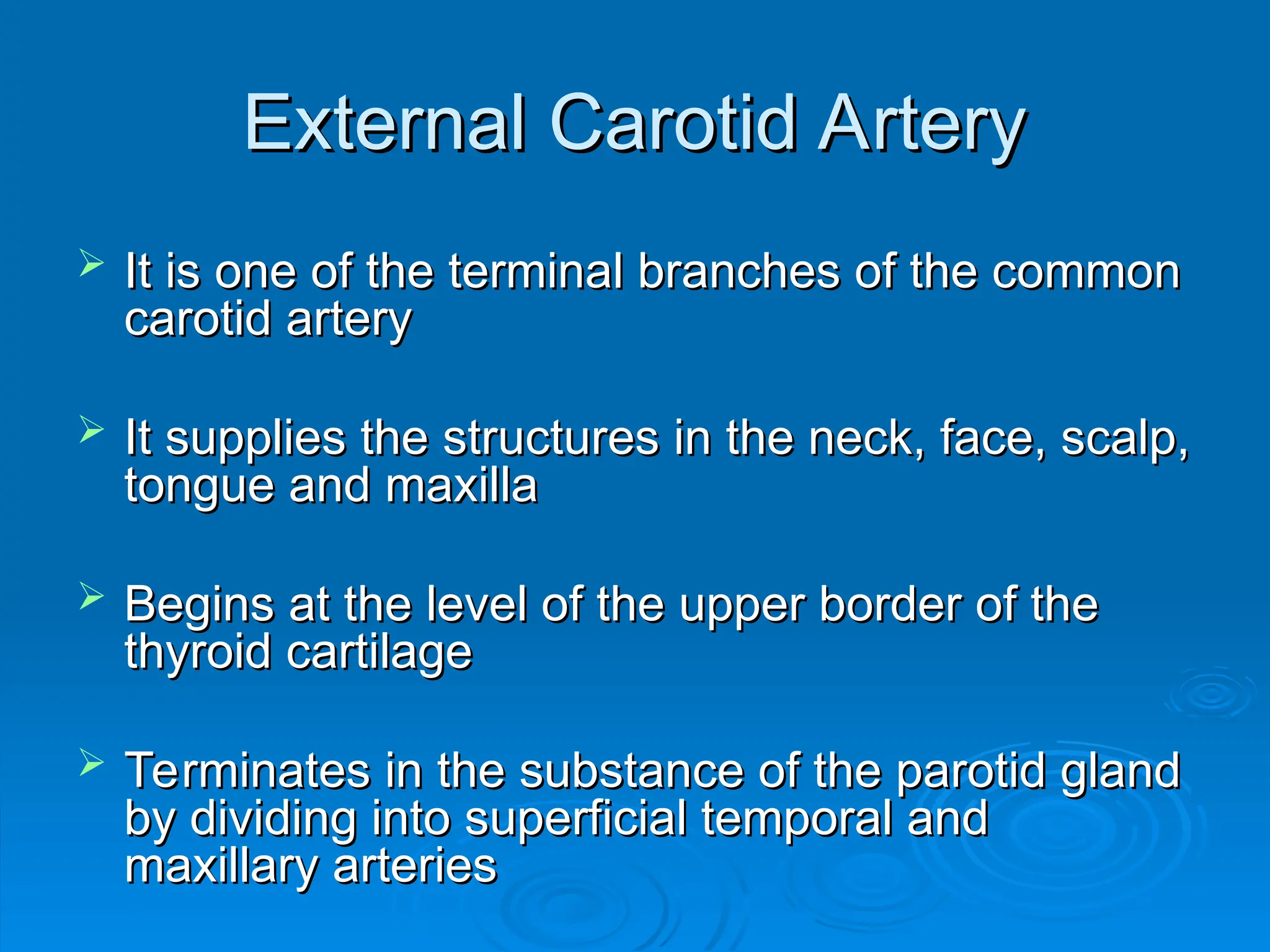 18-Main Arteries & Veins of Neck and its branches | PPT