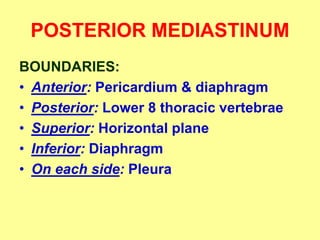 18-Mediastinum.ppt middle posterior anterior | PPT