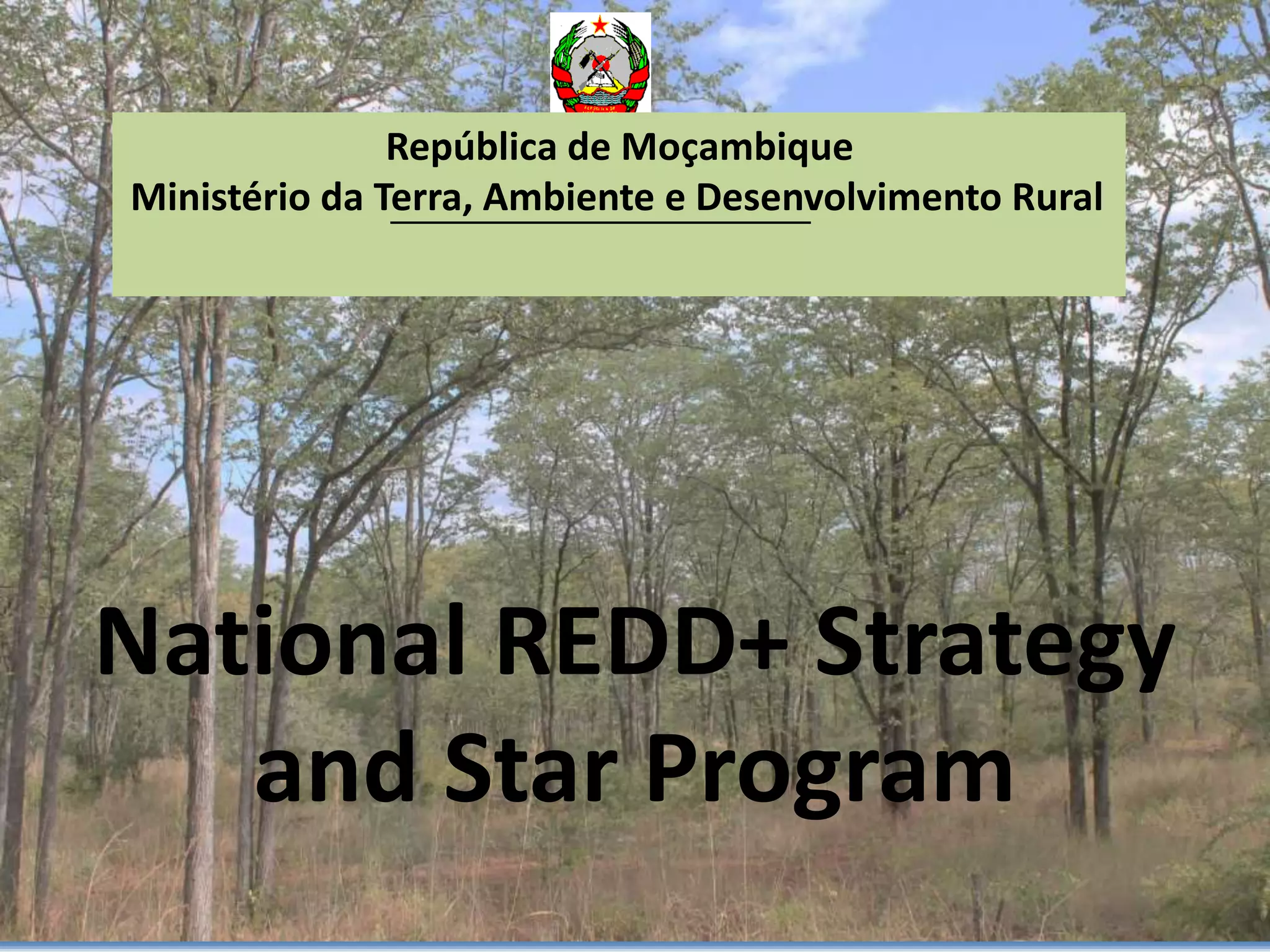 National REDD+ strategy and star program | PPT