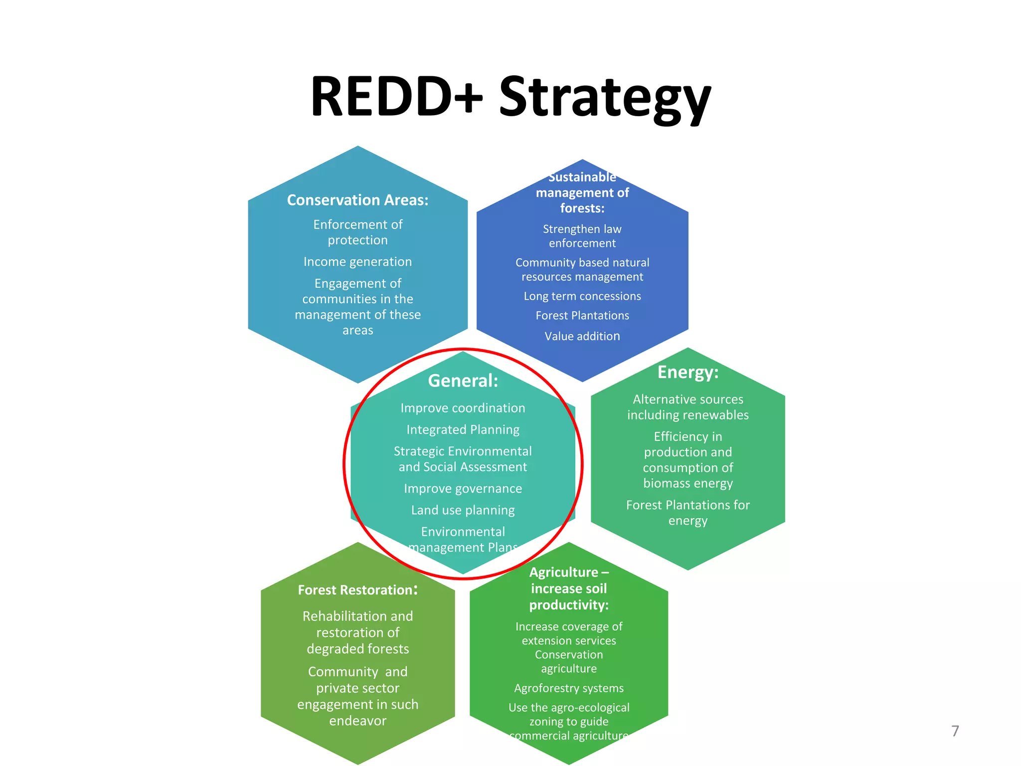 National REDD+ strategy and star program | PPT