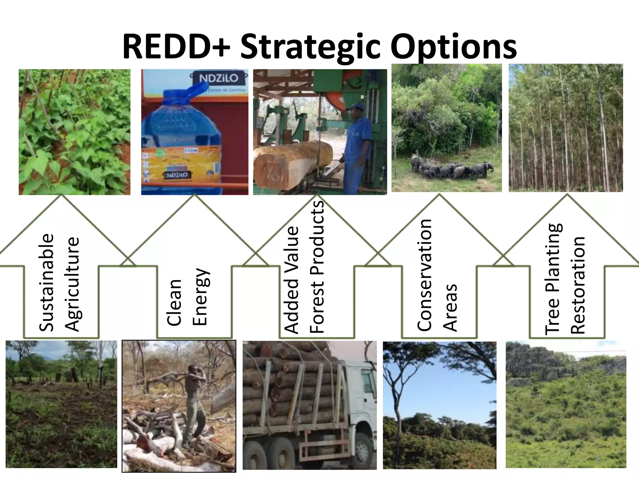 National REDD+ strategy and star program | PPT