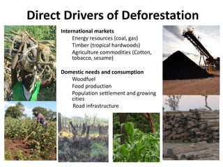 National REDD+ strategy and star program | PPT