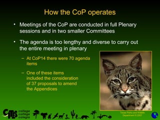 Preparing for the CO P | PPT