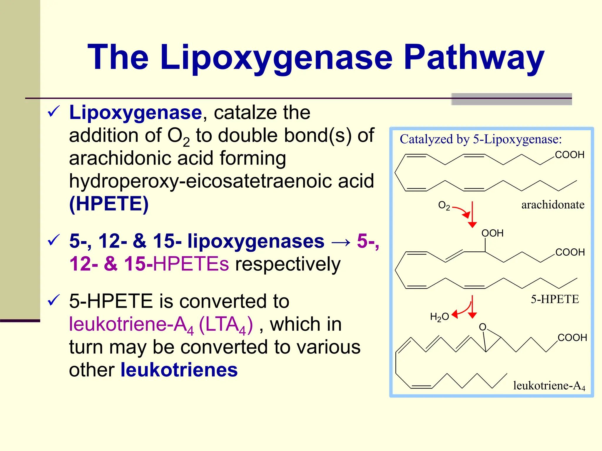 Prostaglandins by dr. s.k.p - their classification | PPT
