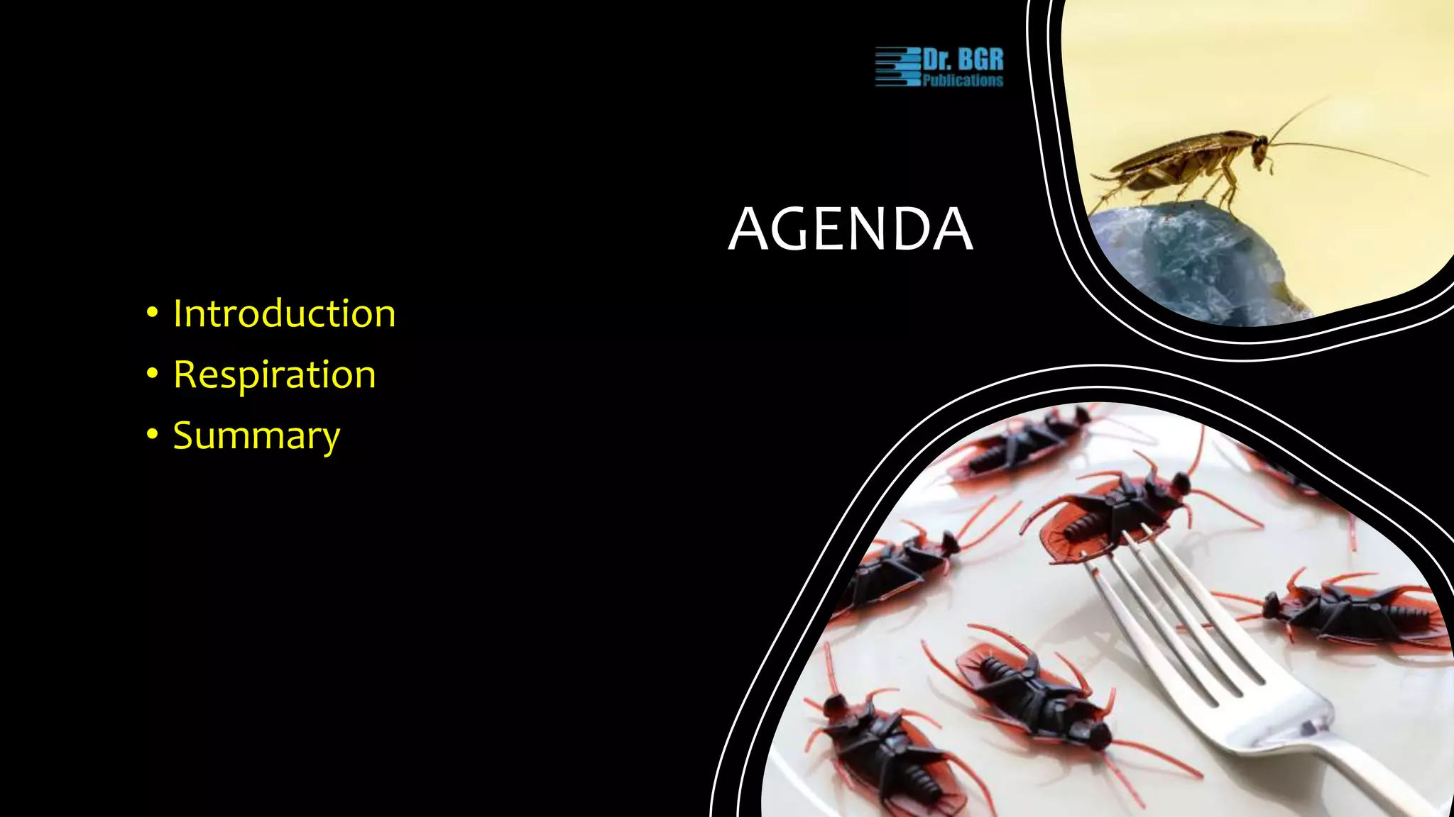 Respiratory System of Cockroach | Dr.BGR Publications | PPTX