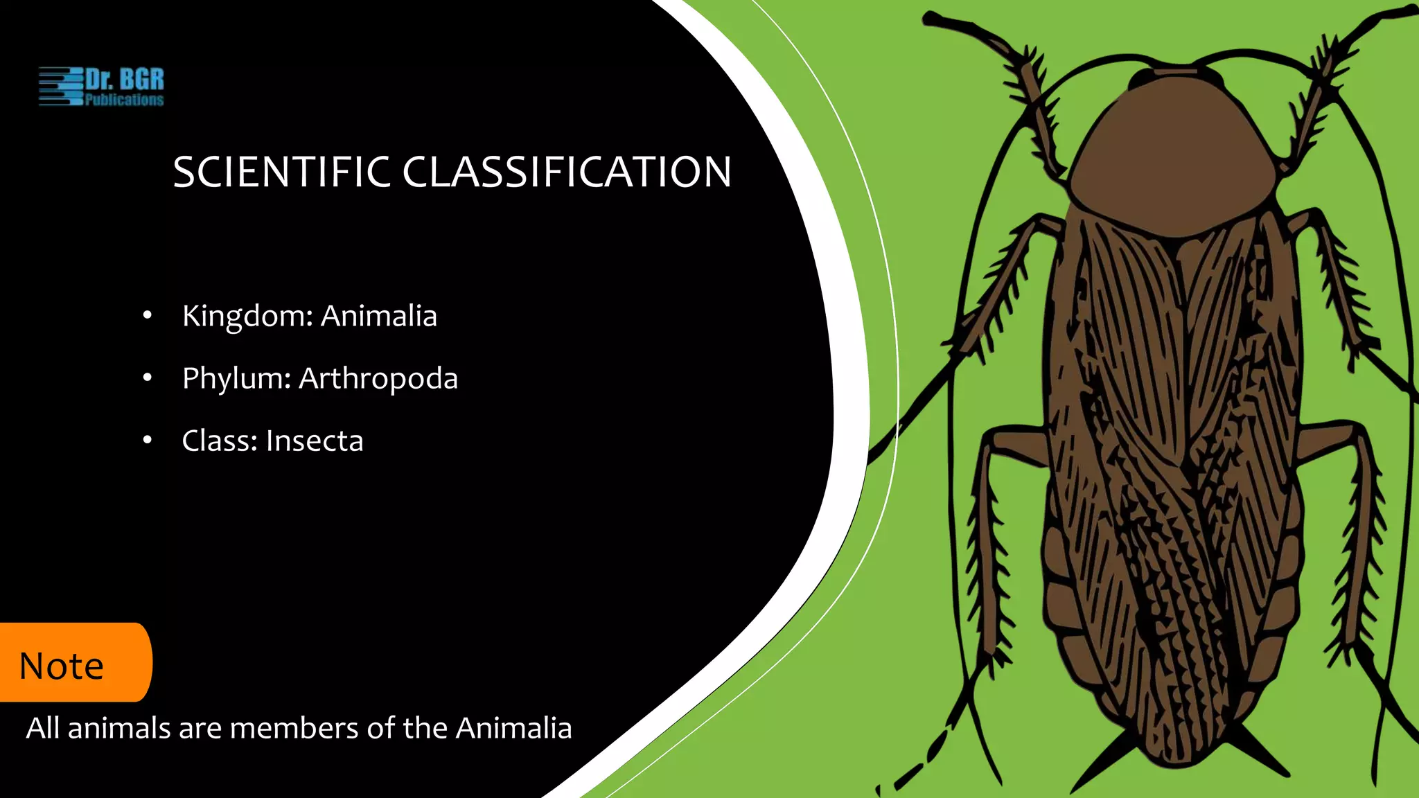 Respiratory System of Cockroach | Dr.BGR Publications | PPTX