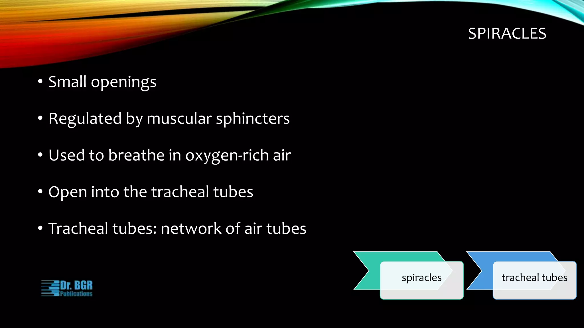 Respiratory System of Cockroach | Dr.BGR Publications | PPTX