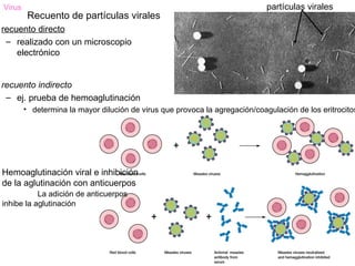 18. Virus, Viroides Y Priones | PPT