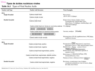 18. Virus, Viroides Y Priones | PPT
