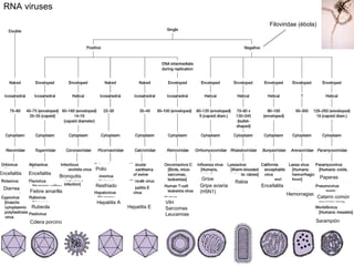 18. Virus, Viroides Y Priones | PPT