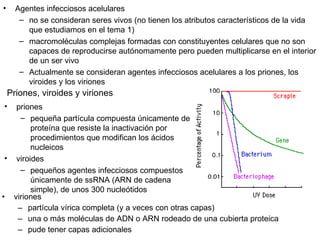 18. Virus, Viroides Y Priones | PPT