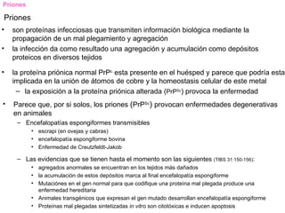 18. Virus, Viroides Y Priones | PPT