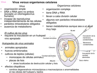 18. Virus, Viroides Y Priones | PPT