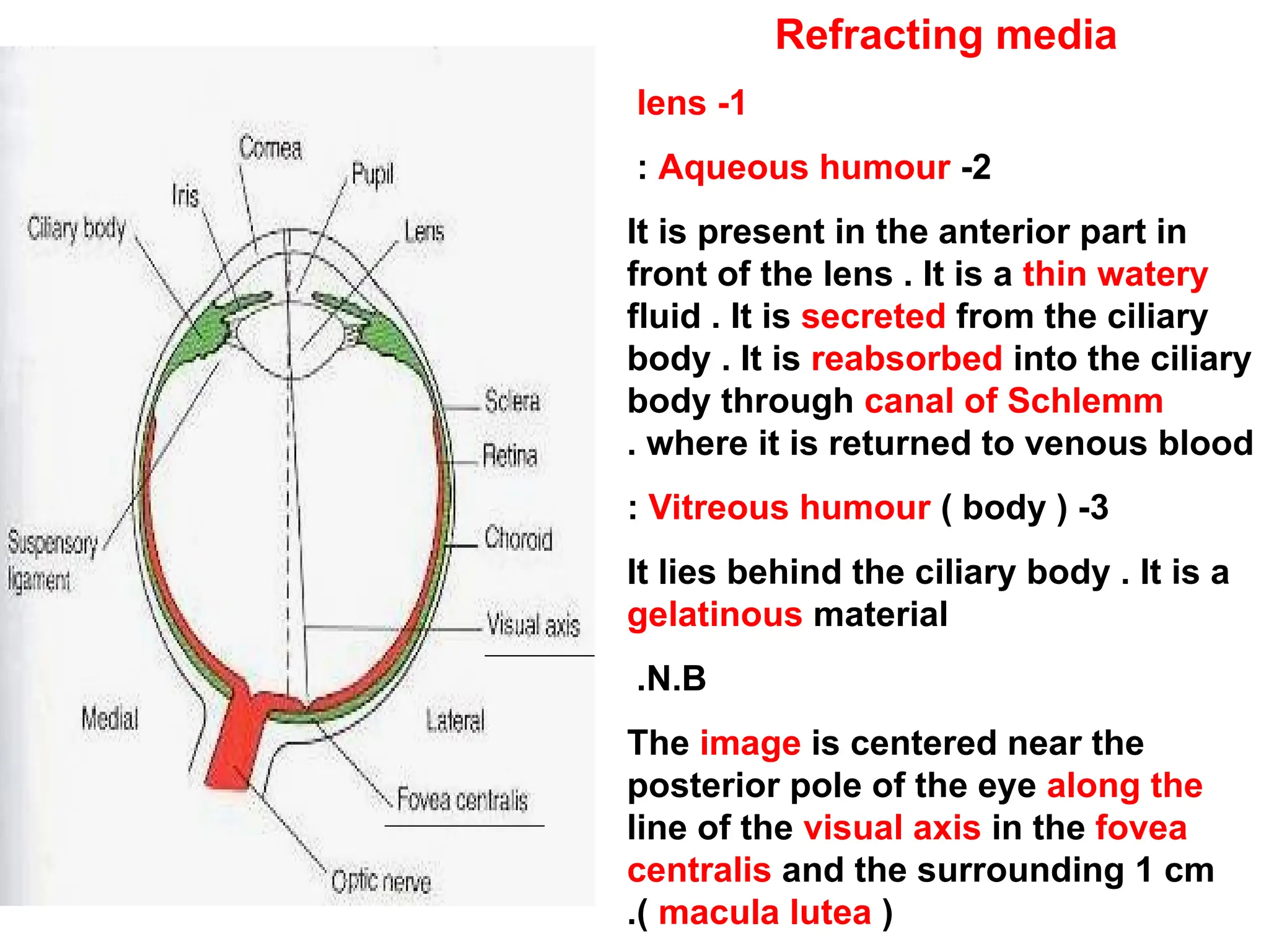 Anatomy of visual pathways an eye presentation | PPT