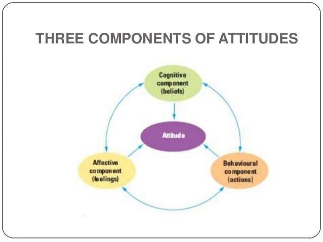 Attitude: Component and Why Study Attiudes