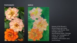 colors in nature- photography and sketches | PPT