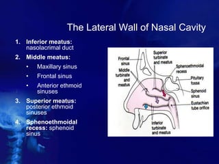 an overview of the paranasal sinuses.ppt