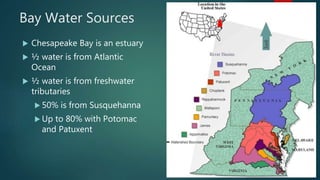 Ms. Jennifer Debnam - What Can We Learn From The Chesapeake Bay: A ...