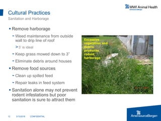 Dr. Danny L. McDonald - Integrated Pest Management of Rodents in Swine ...