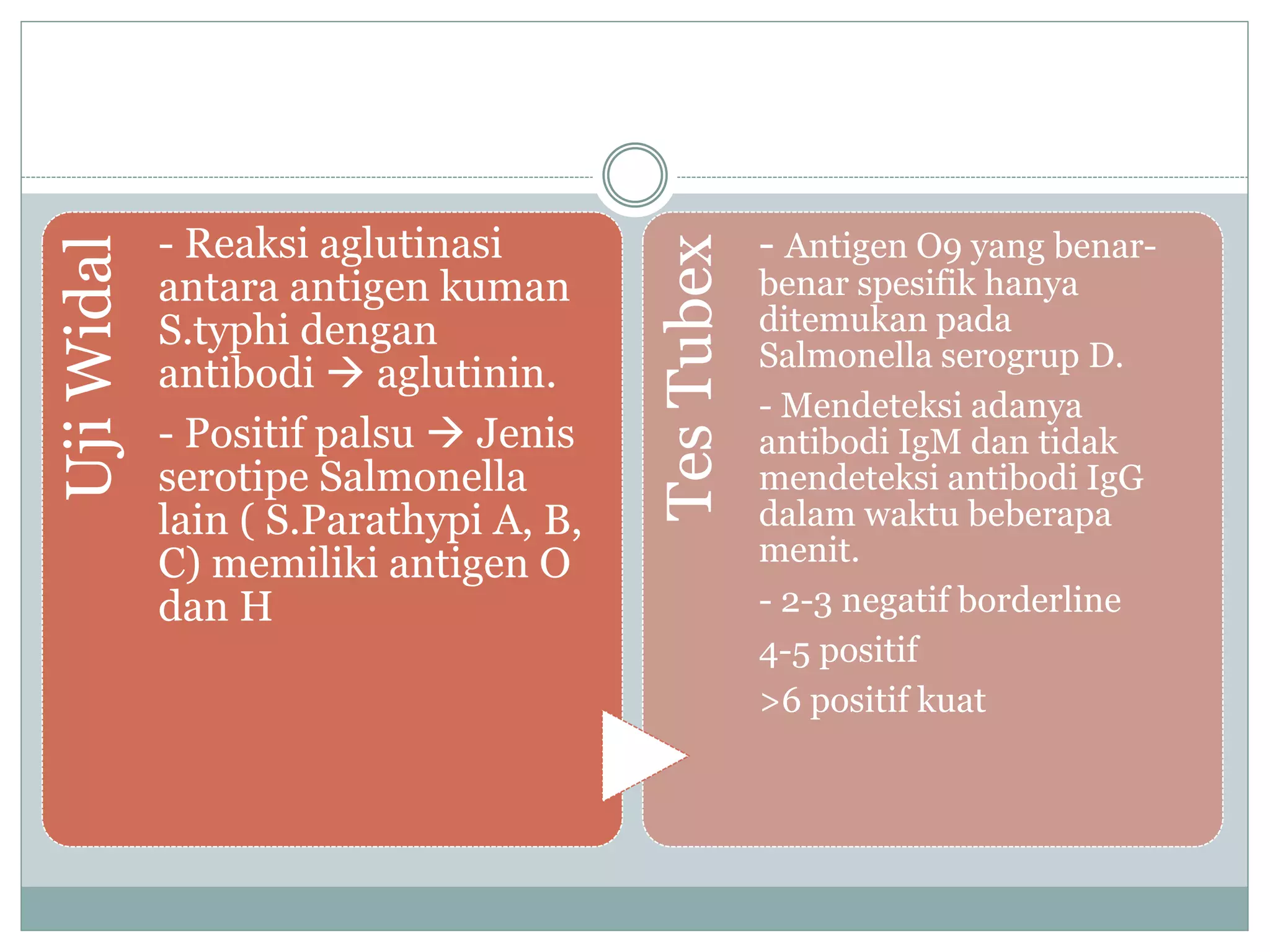 180219037-PPT-DEMAM-TIFOID-pptx.pptx
