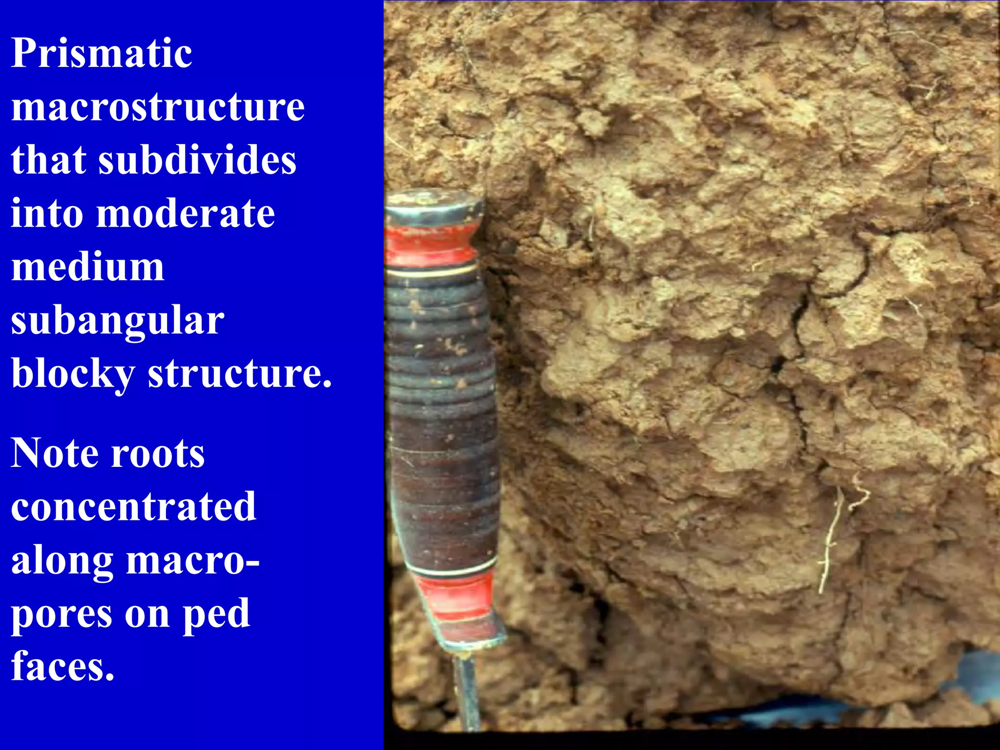 SOIL SCIENCE PDF PPT | PDF